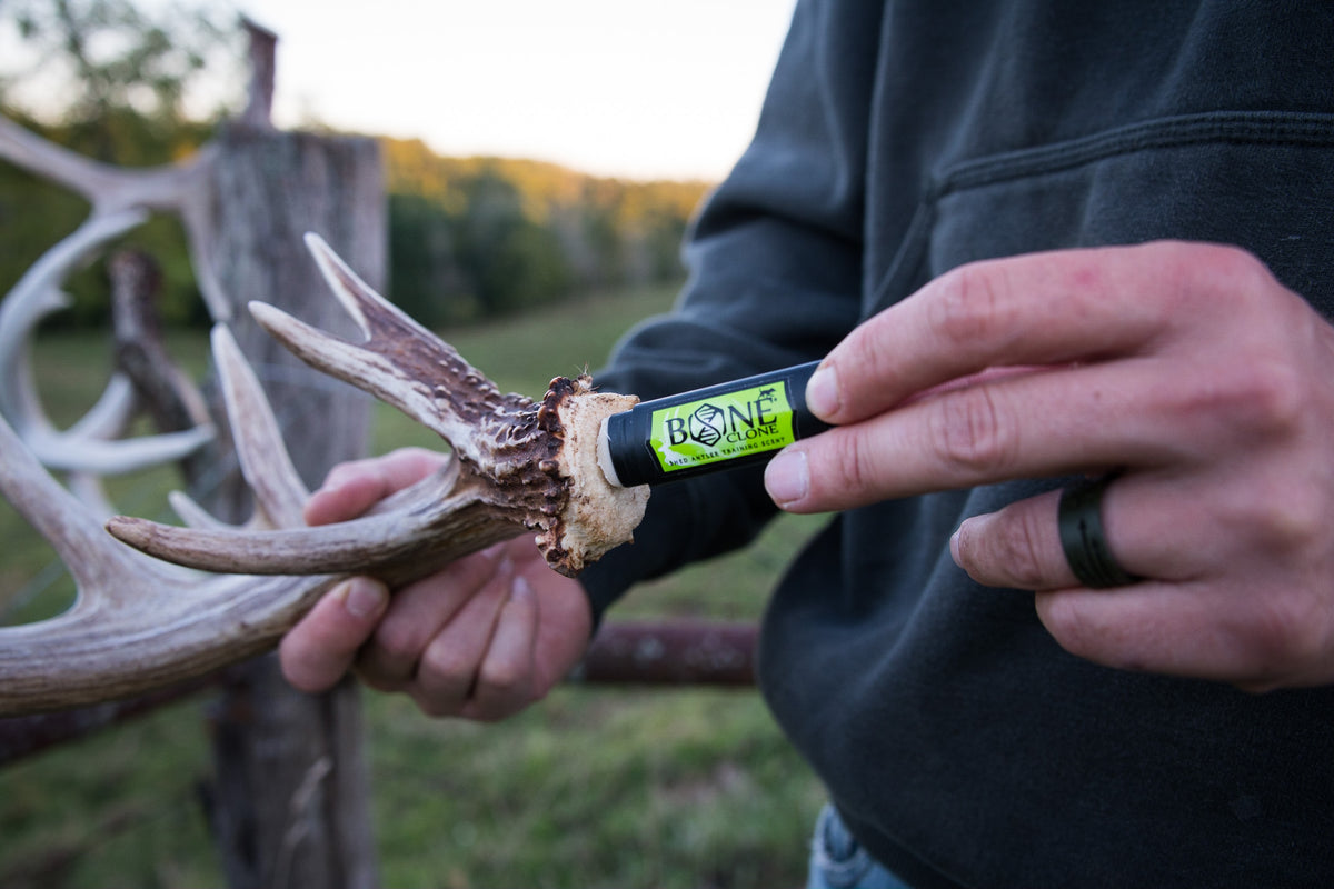Bone Clone Products – Bone Clone Shed Antler Training Scent